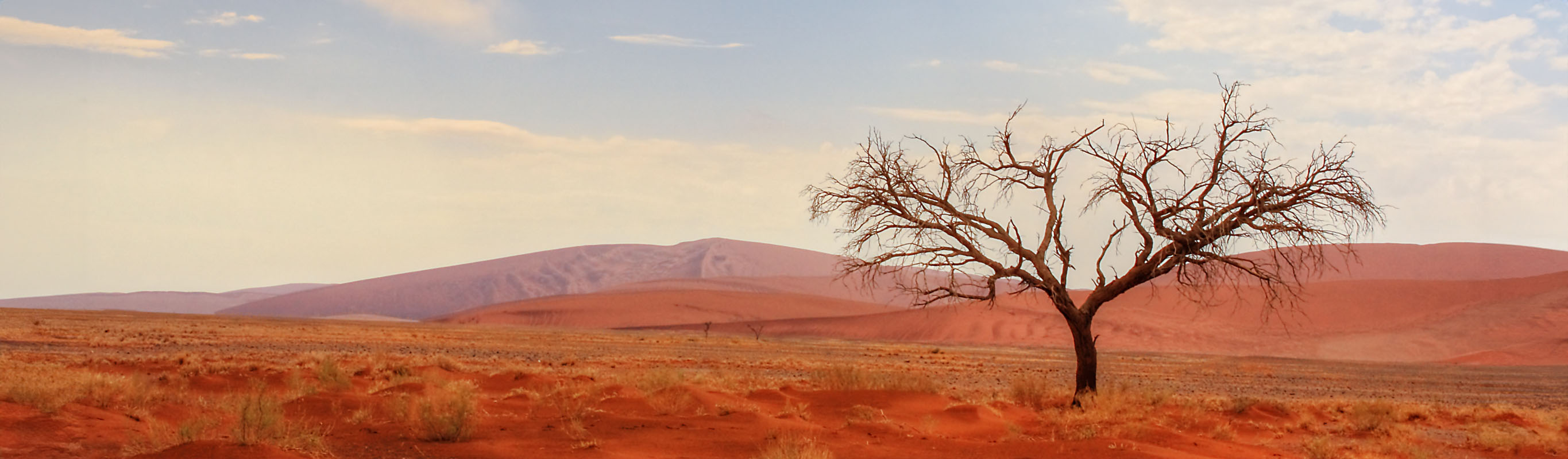 Navigating Investor Apathy | Russell Investments