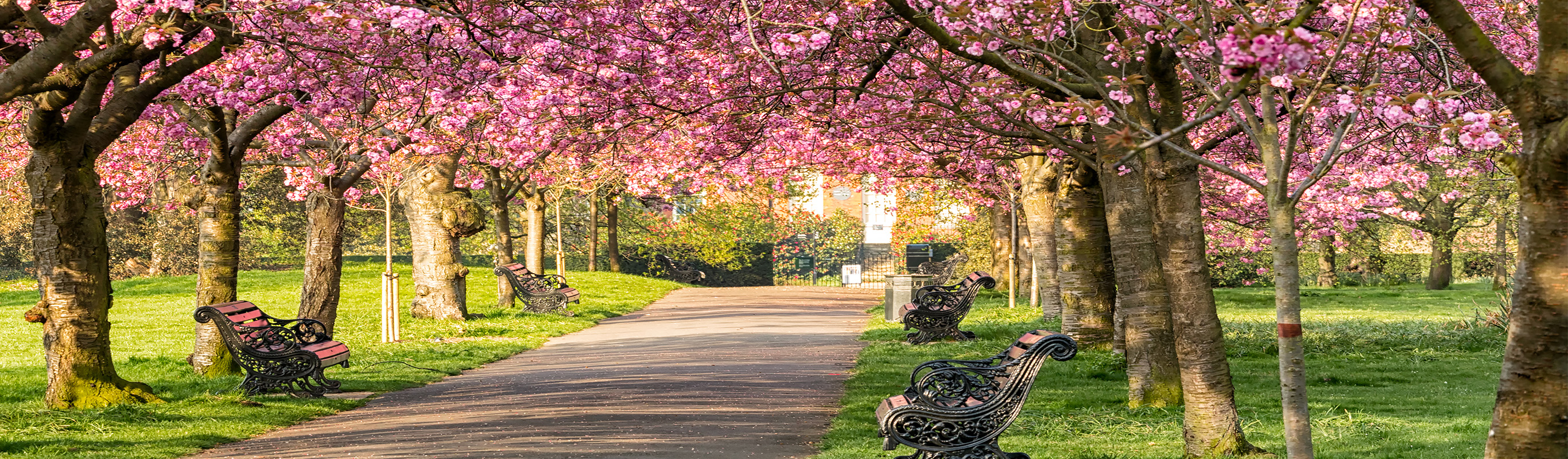 UK Spring Budget Statement | Russell Investments